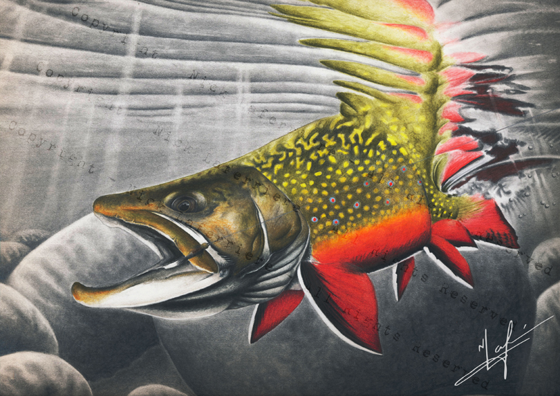 Northern Exposure – Brook Trout | NICK LAFERRIERE