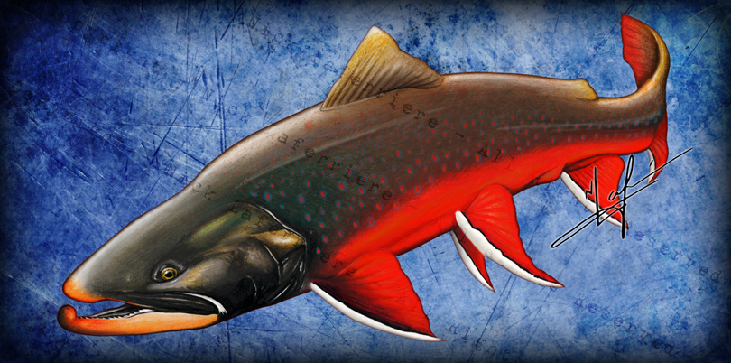 Tree River Char – NICK LAFERRIERE