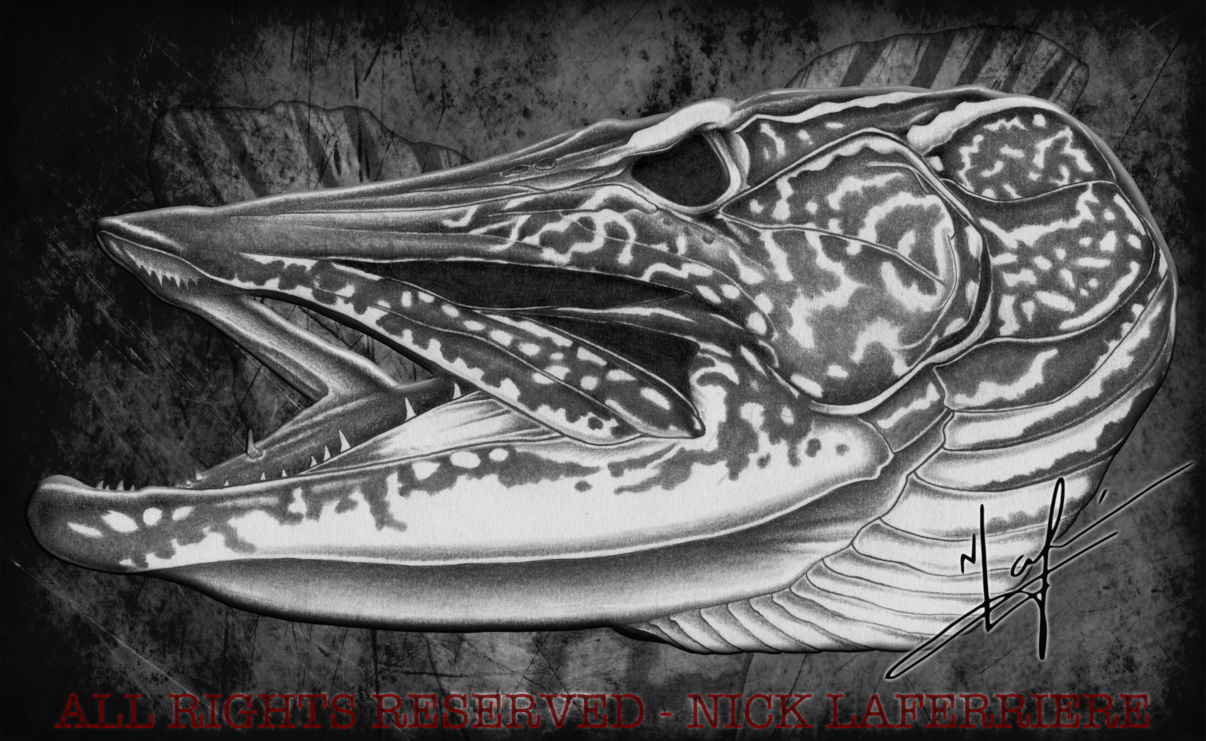 Northern Pike Skull – NICK LAFERRIERE