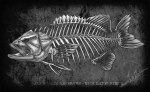 Smallmouth Bass Skeleton – NICK LAFERRIERE