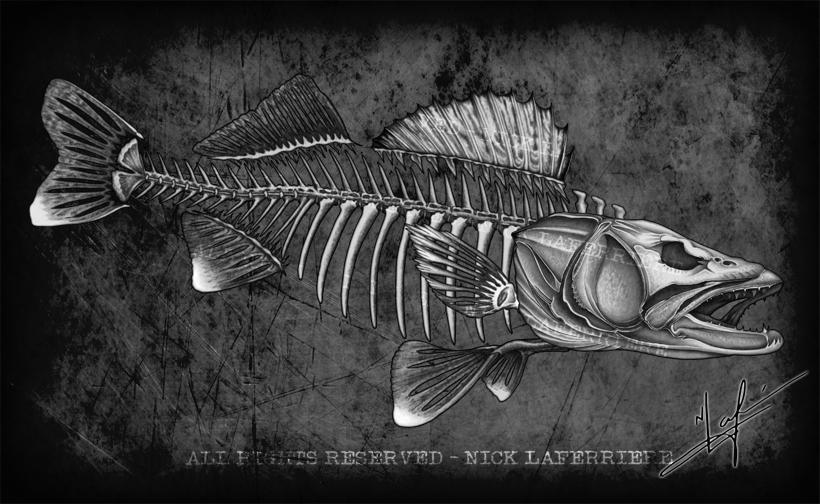 Walleye Skeleton Tattoos Bass Boat Decals X 2 Fishwreck