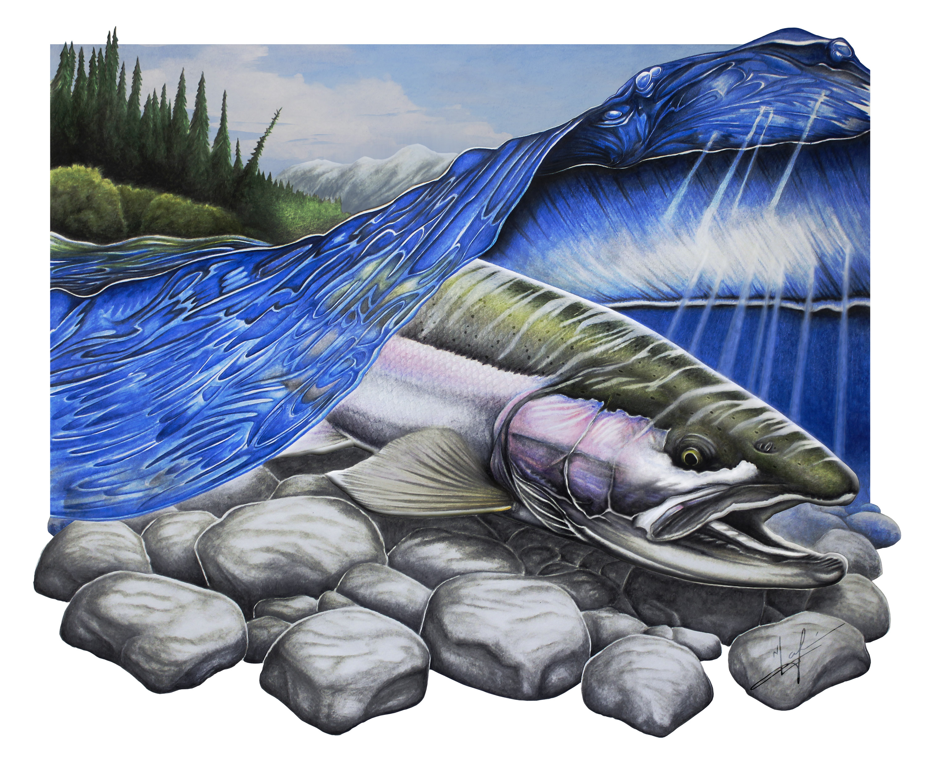 Steelhead Dreams – NICK LAFERRIERE