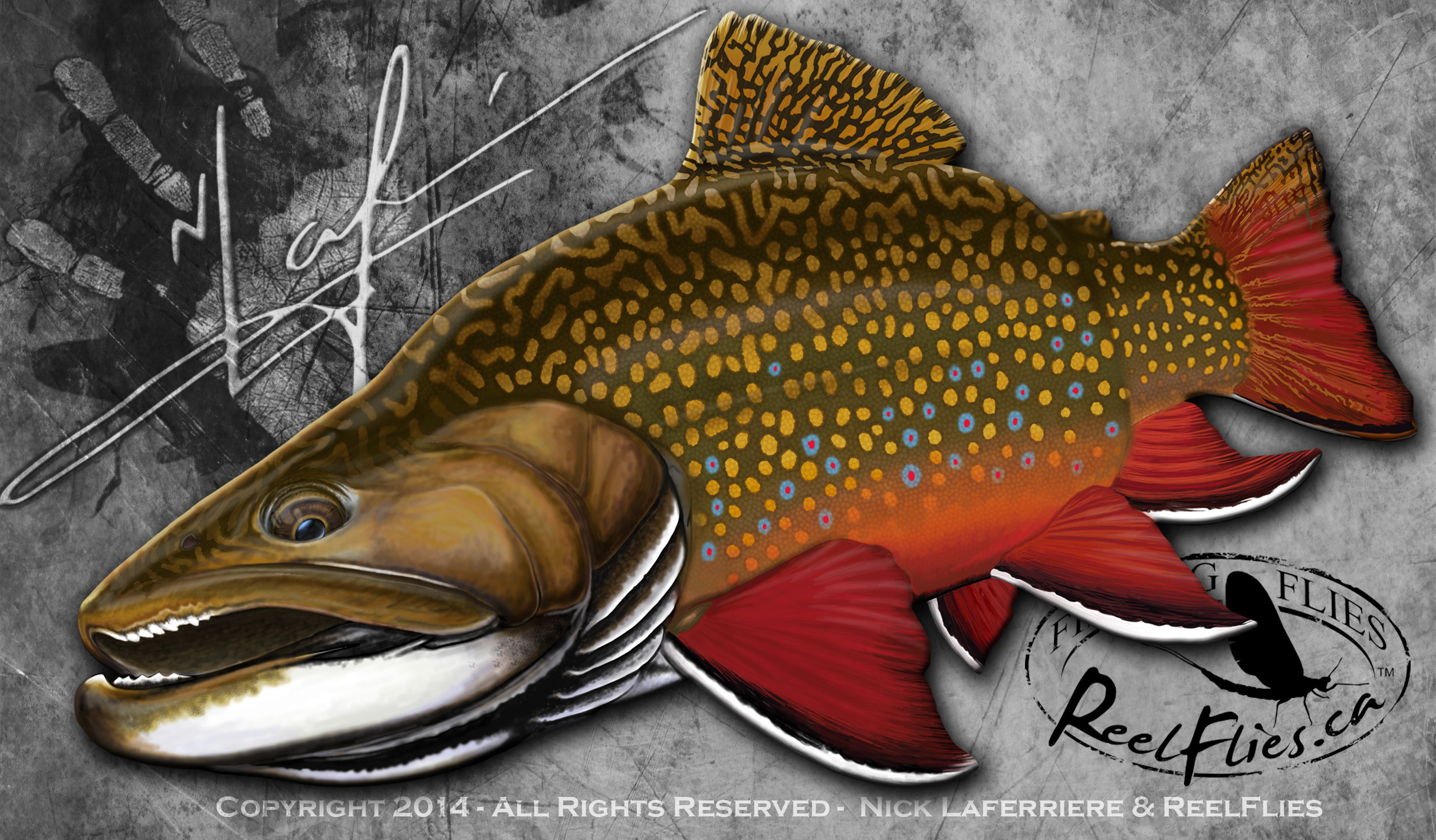 ReelFlies Brook Trout | NICK LAFERRIERE