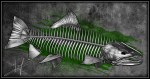 Steelhead Skeleton Design – NICK LAFERRIERE