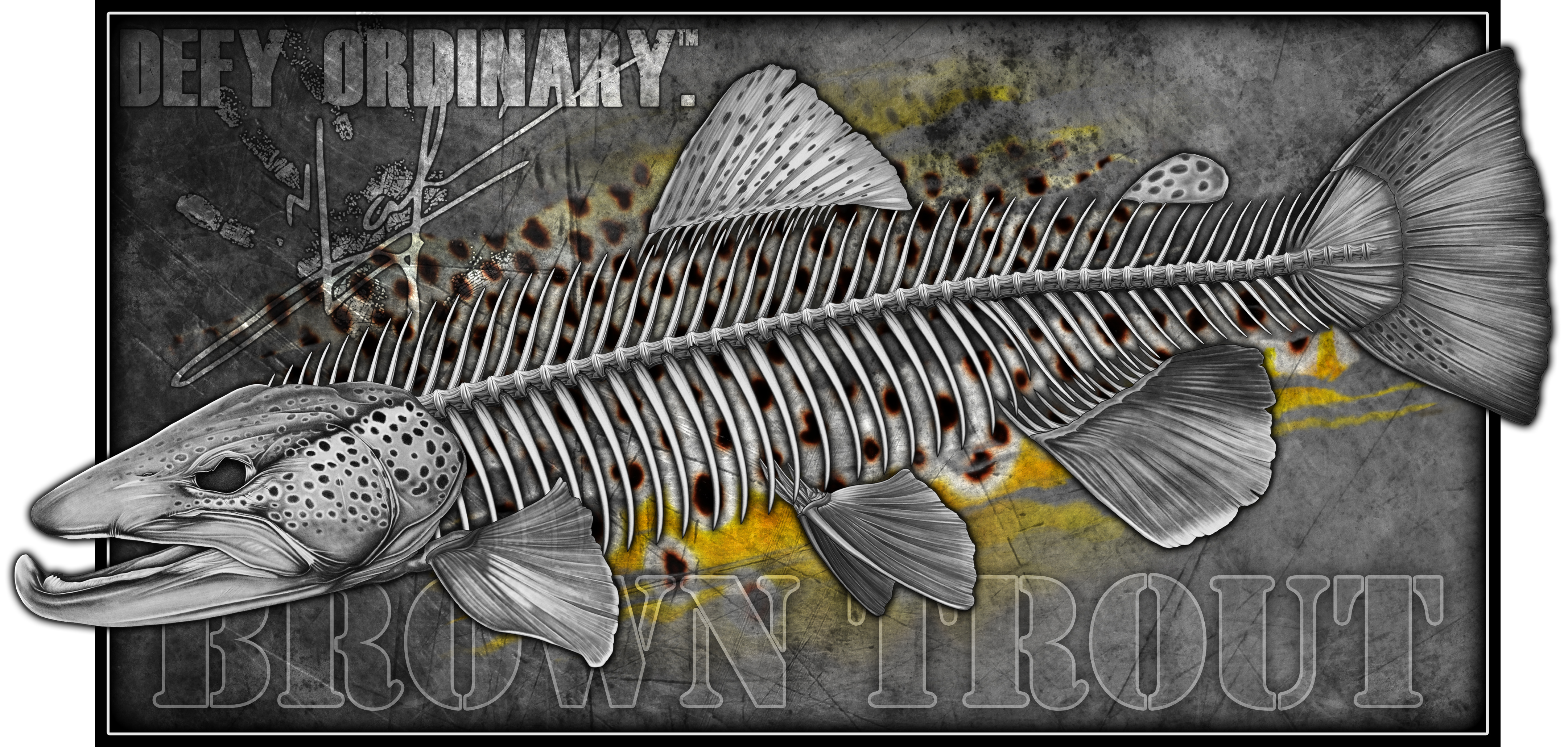 Brown Trout Skeleton – NICK LAFERRIERE