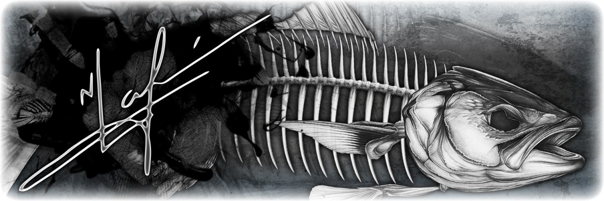 Australian Salmon/Kahawai Skeleton | NICK LAFERRIERE